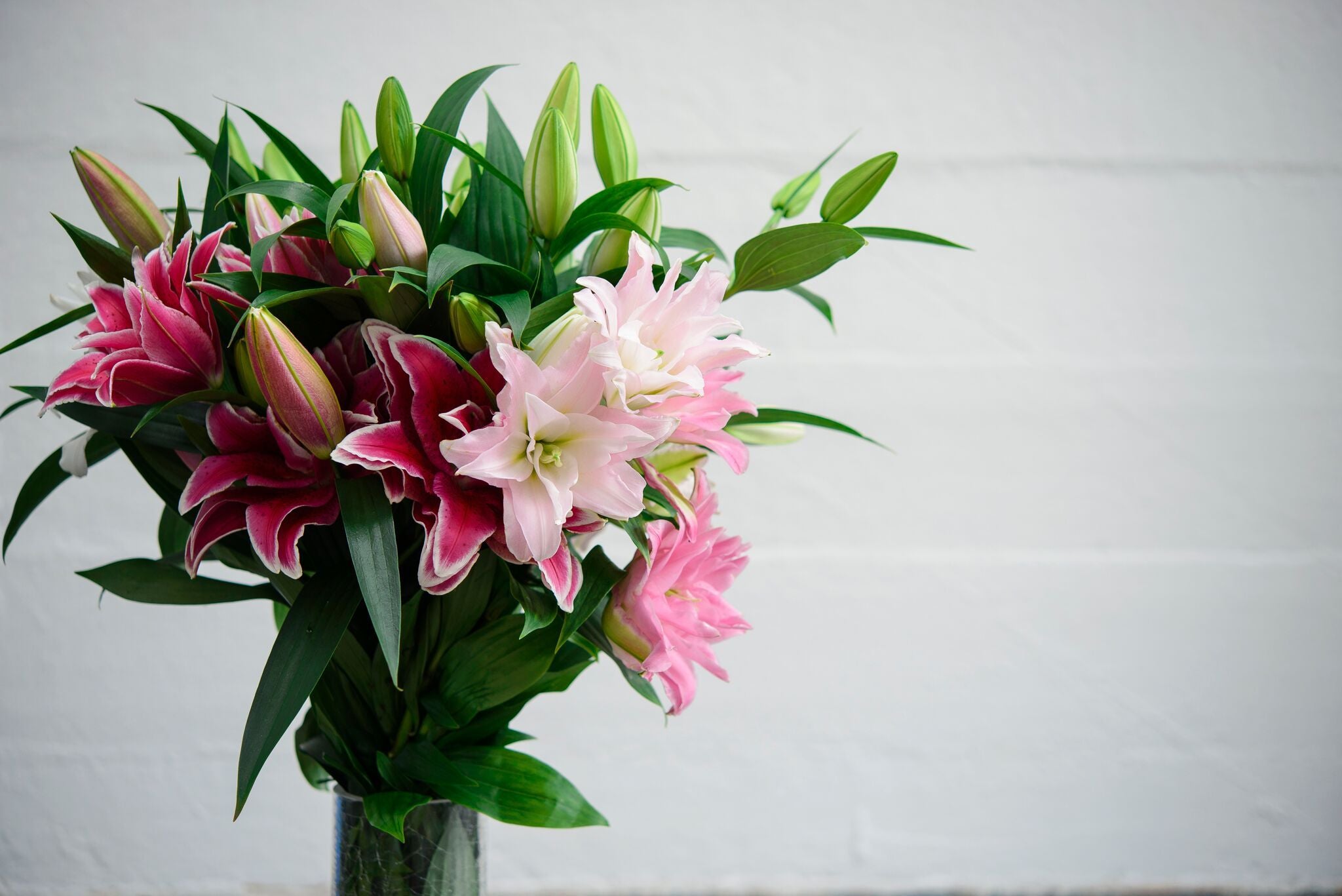 How to plant Lily bulbs – The Rose Press Garden