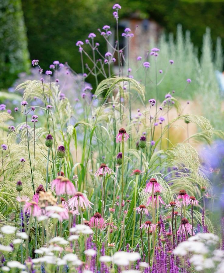 Ready to plant – The Rose Press Garden