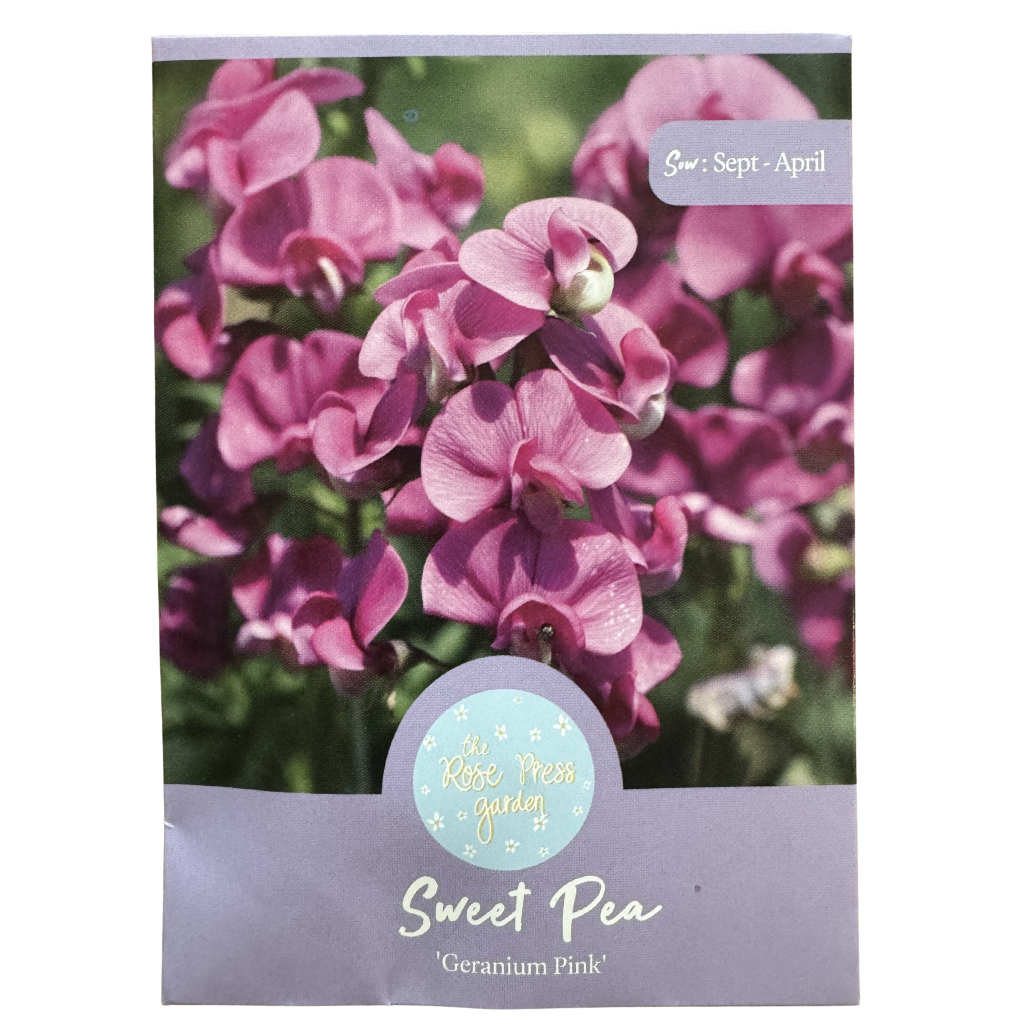 Sweet Pea 'Geranium Pink' Seeds – The Rose Press Garden